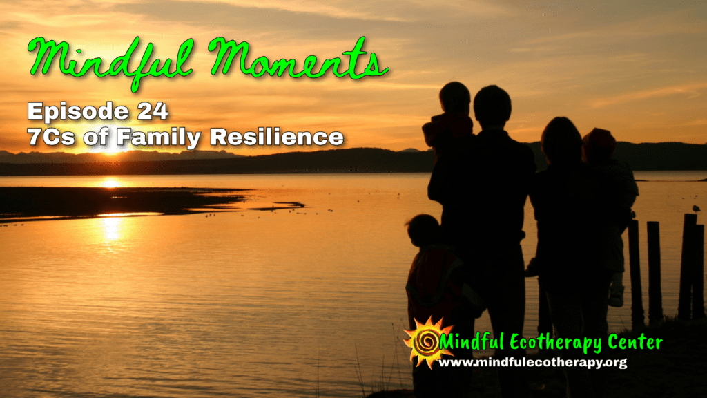 Mindful Moments - 7Cs of Family Resilience - Mindful Ecotherapy Center